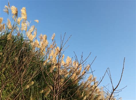 Yidas 宜達資訊