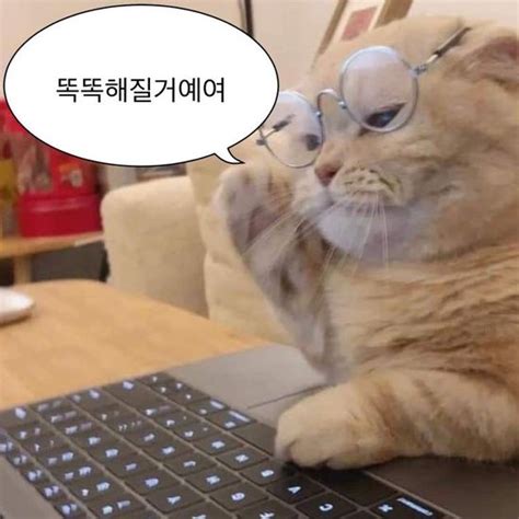 애플워치에 있는 연재 이님의 핀 재미있는 이모티콘 귀여운 사랑 밈 대학 밈