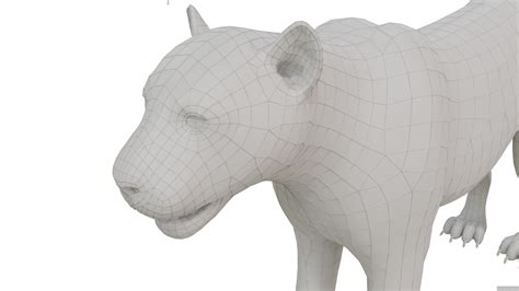 Artstation Realistic Fur Leopard Rigged Game Assets