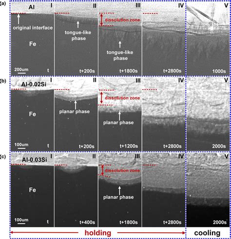 Synchrotron Radiation Real Time Images Showing The Microstructural