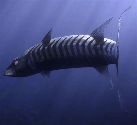 Barracuda Finding Nemo The 3d Computer Animated Wiki Fandom