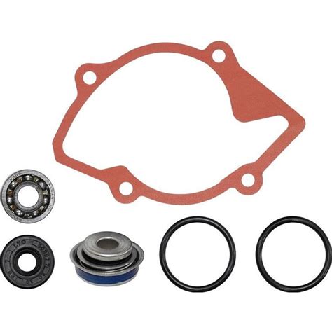 Köp Sno X Rep Sats För Vattenpump Ski Doo 600r E Tec På