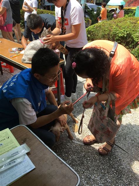 顧及偏鄉地區 新北72場疫苗注射活動 社團法人中華民國保護動物協會
