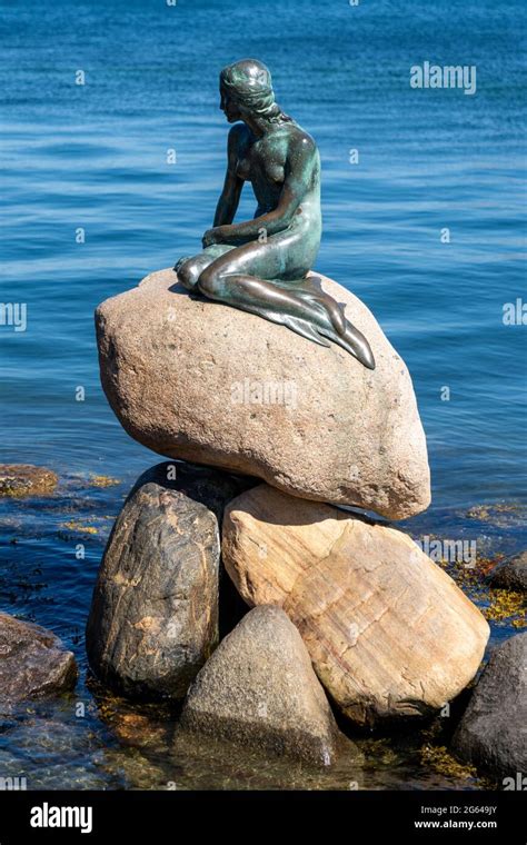 Copenhagen Denmark 13 June 2021 View Of The Little Mermaid Statue