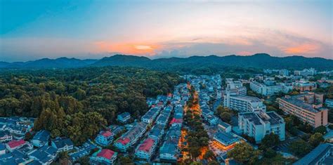 青芝坞的傍晚 知乎