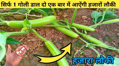 बचच क गल न कर दय कमल सरफ 1 गल चपक स लक क बल म