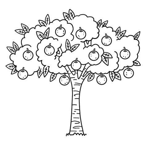 Portakal Ağacı Meyvesi Bitkisi İzole Boyama Sayfası Premium Vektör