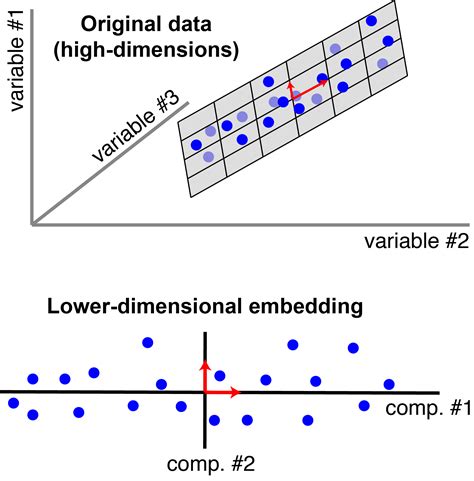 applications of principal component analysis pca