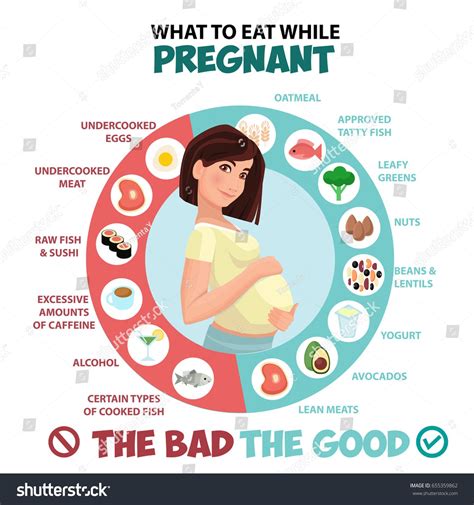 Pregnant Woman Diet Infographic Food Guide Stock Vector Royalty Free