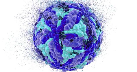 Regmednet On Linkedin Exosome Production Process Development In