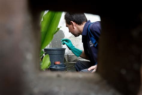 Saúde realiza ações de prevenção da dengue na cidade Secretaria