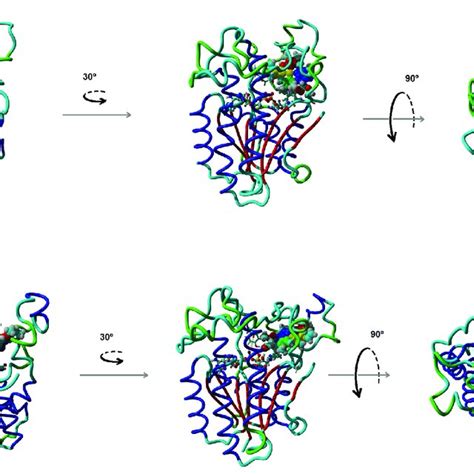 First Stable Binding Pose The Graph Depicts The Time Evolution Of Download Scientific Diagram
