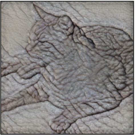 A Sample Cue Conflict Image From Geirhos Et Al S Dataset That Has A