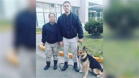 La Emotiva Despedida De Mac Un Perro Penitenciario