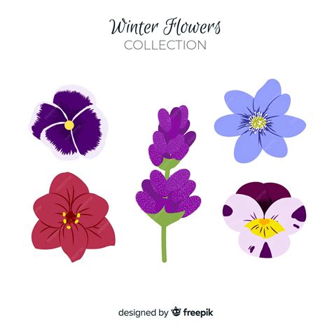 Set De Flores De Invierno Vector Gratis