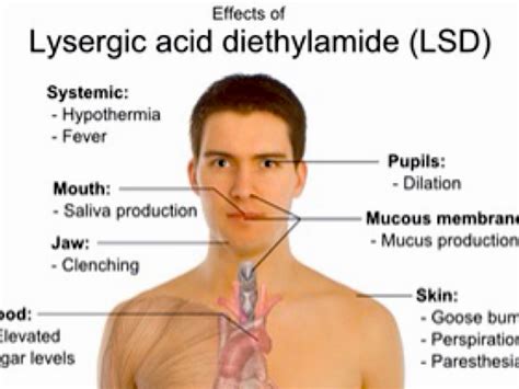 Lysergic Acid Diethylamide Effects