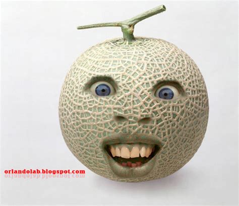 Keren Abis 32 Animasi Buah Melon