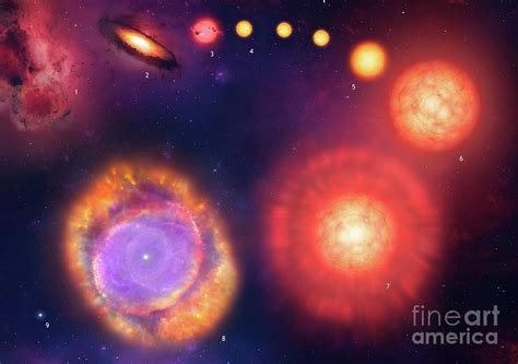 Life Cycle Of The Sun Photograph By Mark Garlickscience Photo Library