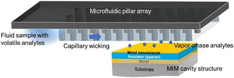 The Optofluidic Sensing Platform For The Rapid Detection Of Vapor