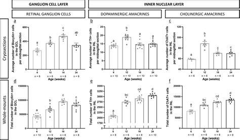 Cell Density Artifactually Decreases In Spatially Pre Sampled