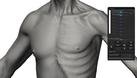 3d Models 3d Models From 3d Scans