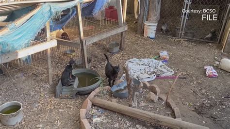 Man Charged With Animal Cruelty In Suspected Puppy Mill Out Of The