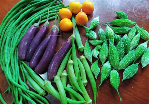 Bunga Sama Weaving Bold Pattern