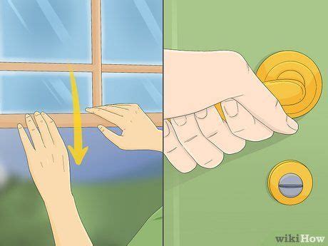 How To Catch A Lizard In Your House 14 Simple Steps With Pictures Mytour