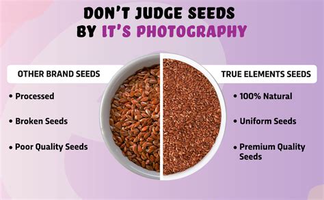 Buy True Elements Raw Flax Seeds 250g Alsi Seeds Fibre Rich Good