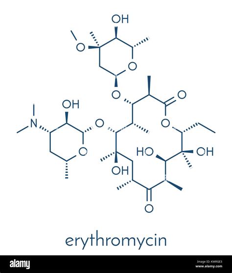 Erythromycin Antibiotic Drug Macrolide Class Chemical Structure Skeletal Formula Stock Vector