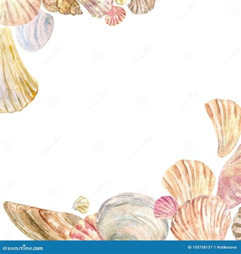 Watercolor Shell Corner Border Frame Stock Illustration Illustration