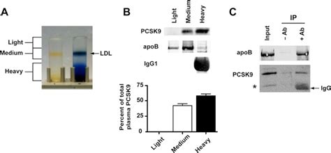 Low Density Lipoprotein Binds To Proprotein Convertase Subtilisinkexin