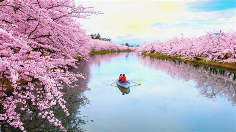 風情感じるお花見を。日本を代表する全国「絶景の桜」名所10選【2020】