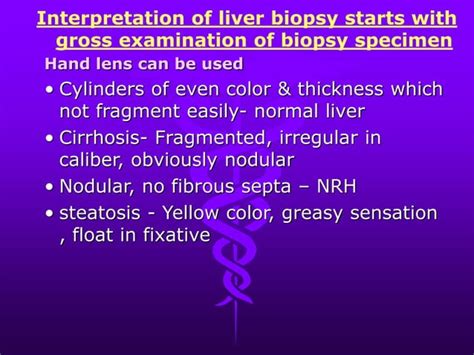 Liver Biopsy Interpretation Pptx