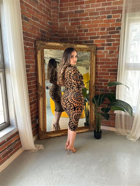 Dulce Mesh Midi Dress Royals Closet