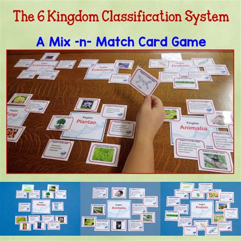 Engaging Taxonomy Activities Teaching Expertise