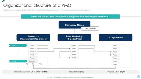 Pmo Organizational Chart Pmo Setup In 4 Simple Steps 2023 Update