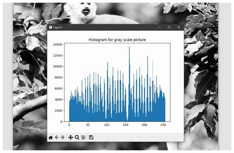 Histogram Equalization In Python Envato Tuts