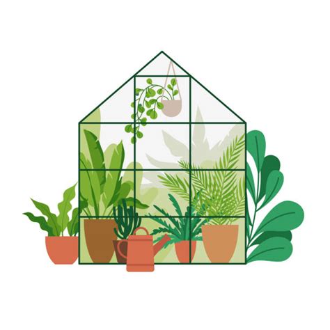 Greenhouse Illustrations Royalty Free Vector Graphics And Clip Art Istock