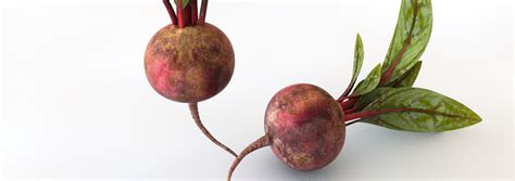 Beetroot 3d Model Flippednormals