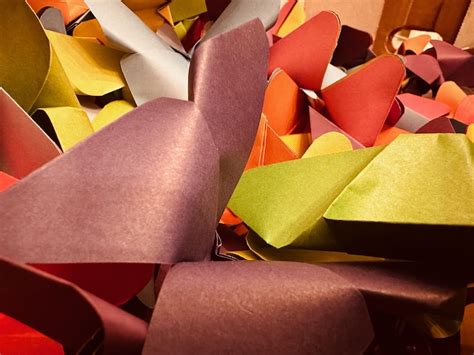 D Arcy Norman D Arcy Norman