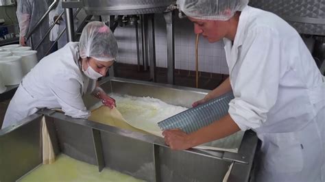 Fabricación de queso cremoso en la Universidad Nacional de Luján YouTube