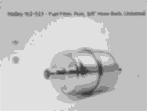 Fuel Pressure Gauge And Fuel Pressure Regulator Ford Truck