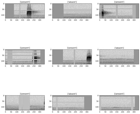 Preprocess Audio Samples — Opensoundscape 0120 Documentation