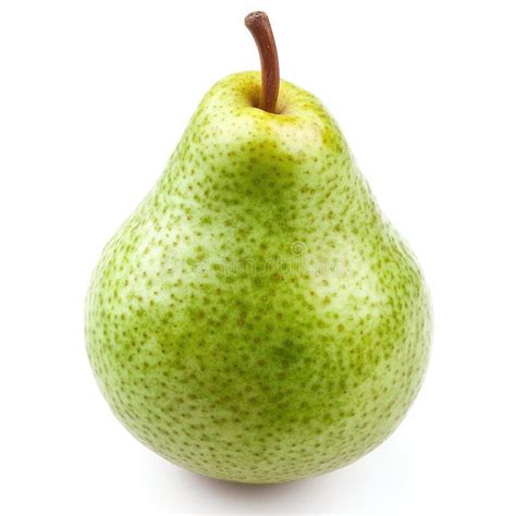 A Green Pear With A Stem On Top Stock Illustration Illustration Of