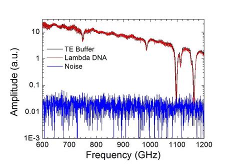 The Spectra Of Te Buffer Dna Solution And Noise Floor Download