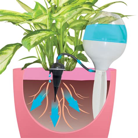The Plant Thirst Quencher Reserve Eng