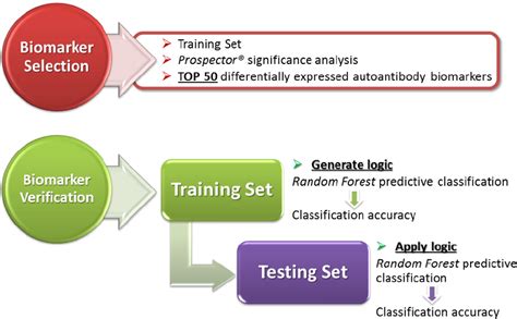 biomarker discovery and training testing set analysis strategy the