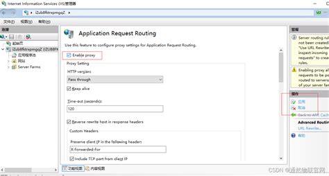 Iis重定向 微信小程序访问nodejs搭建的服务器组成物联网平台iis 中的application Request