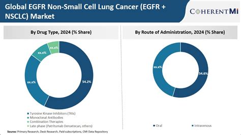 Egfr Non Small Cell Lung Cancer Market Size Share 2025 2032